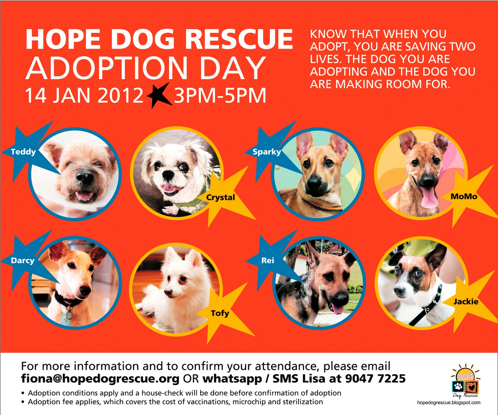 HOPE Dog Rescue: Adoption Day This Saturday - Come Save A Life!