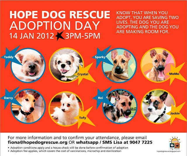 HOPE Dog Rescue: Adoption Day This Saturday - Come Save A Life!