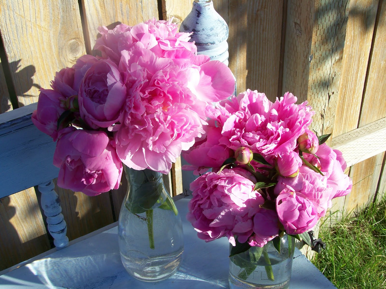 American Honey Home: Pretty Pink Peonies