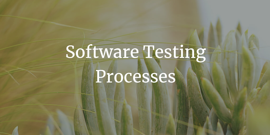 Software Testing Processes Software Testing Processes
