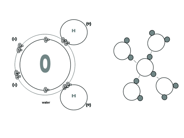 Hydrogen: Hydrogen And Oxygen Bond