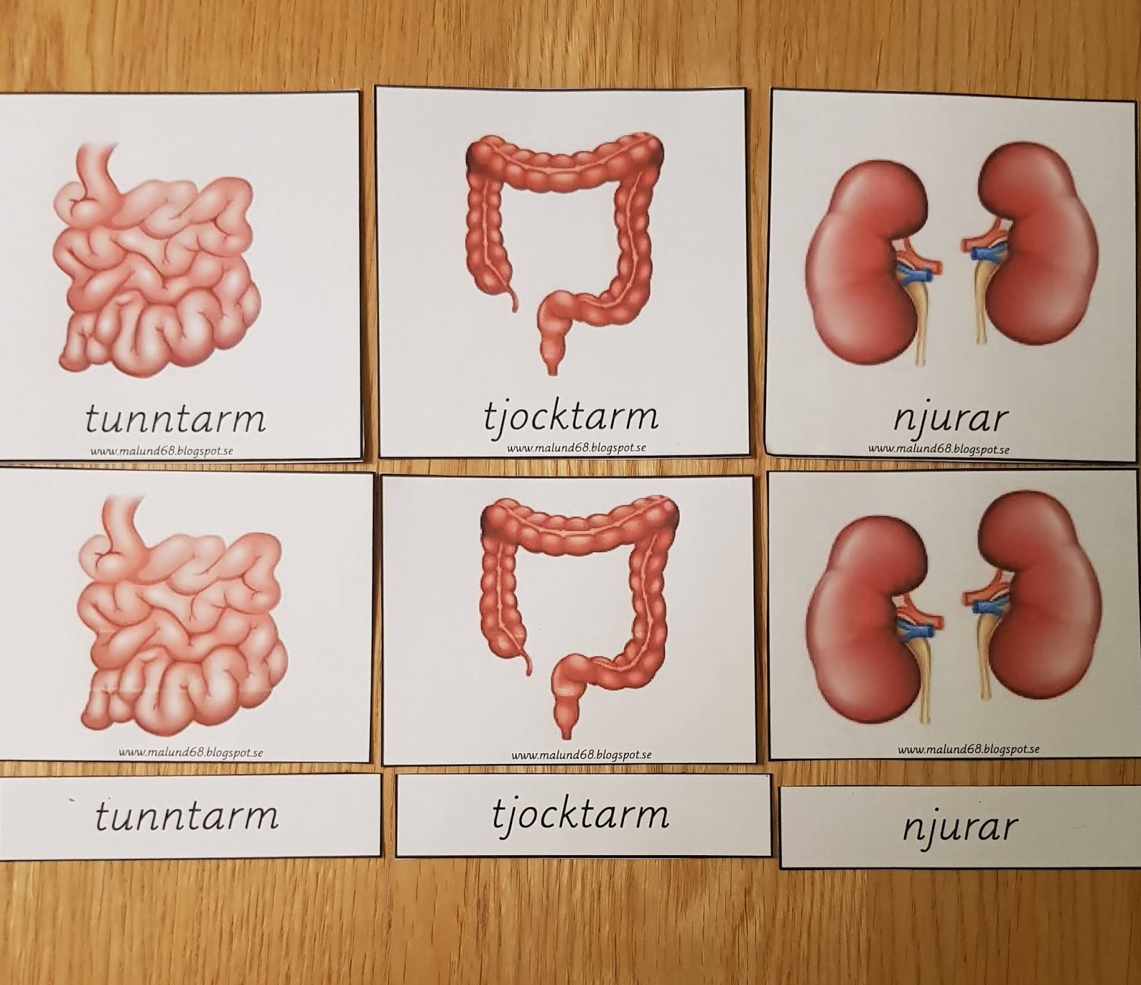 Min blogg om allt mellan himmel och jord: Montessorimaterial: Kroppens ...