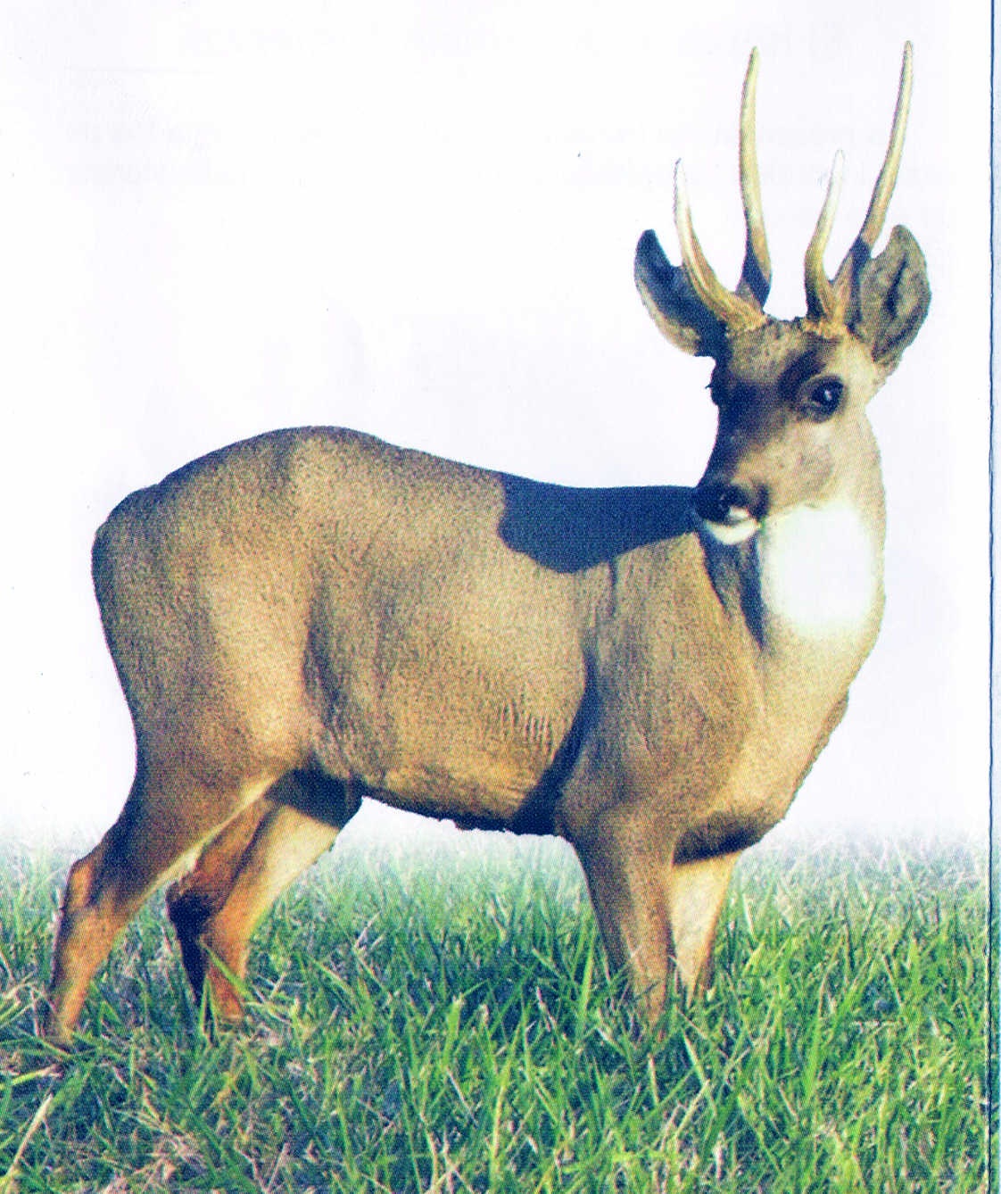 Parque Nacional Campo de Los Alisos: Educación ambiental