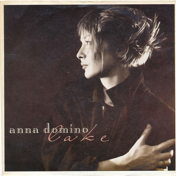 Disco Vinyl : An Anna Domino Retrospective.....TAKE THAT AND SO MUCH MORE