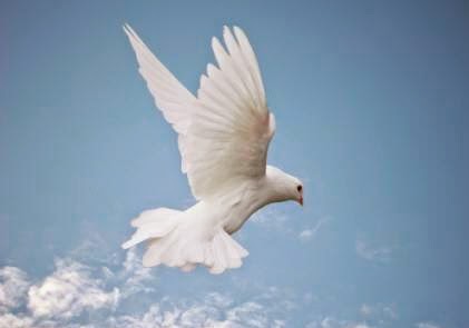 Lisas hälsoresa: Stor sorg