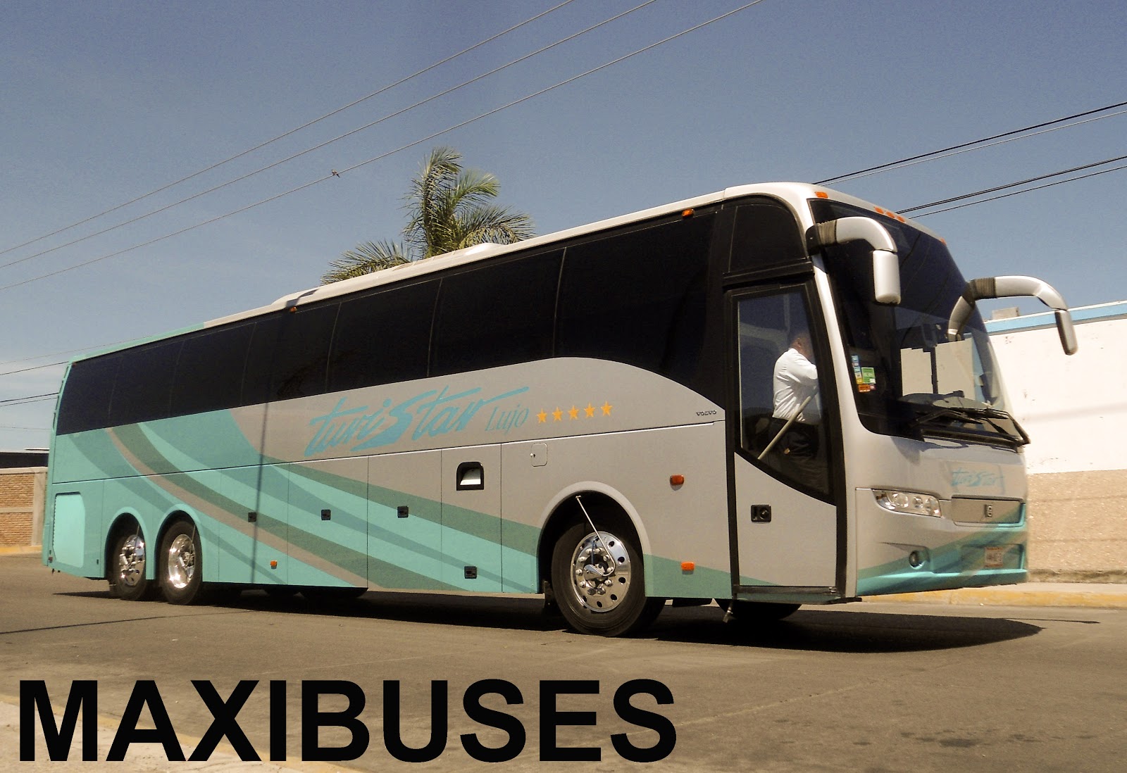 MAXIBUSES: TURISTAR LUJO