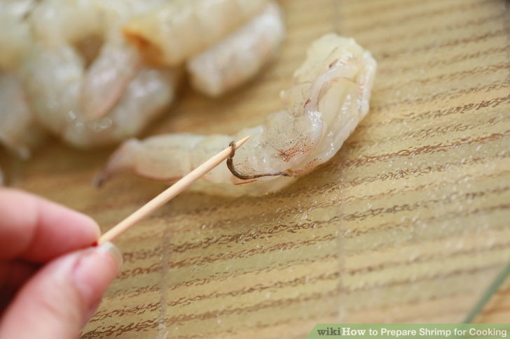 Shrimp Intestine