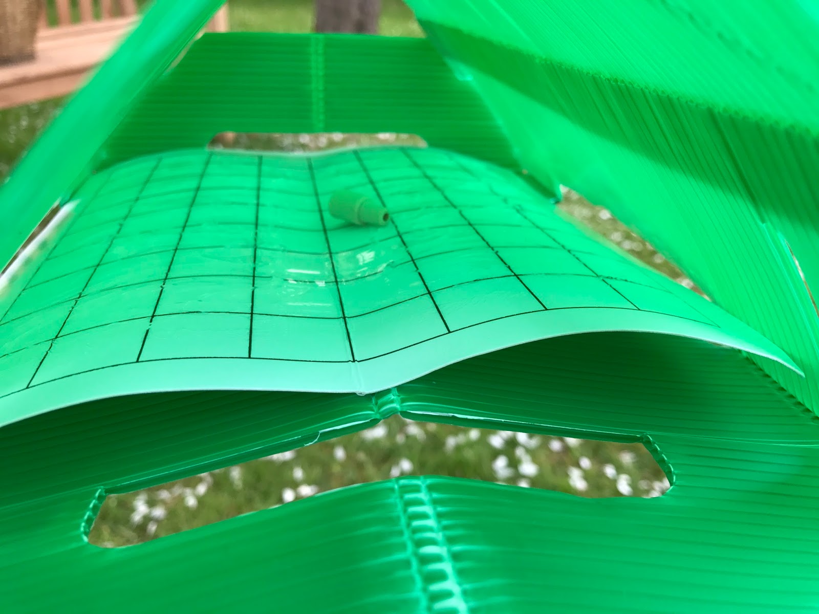 Down on the Allotment: Codling Moth Trap