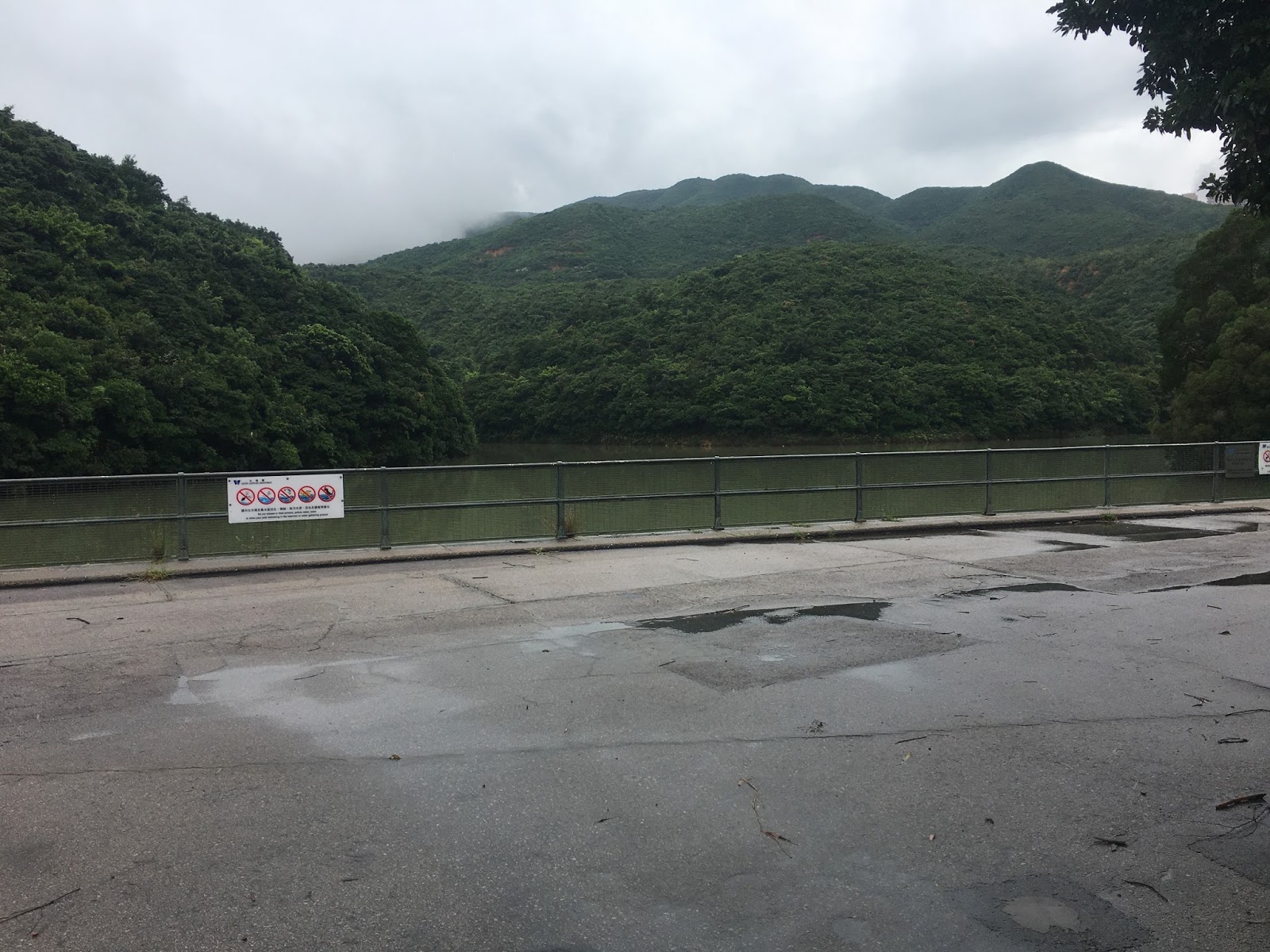 Military History: Following the route taken by 'D' Coy Royal Rifles of ...