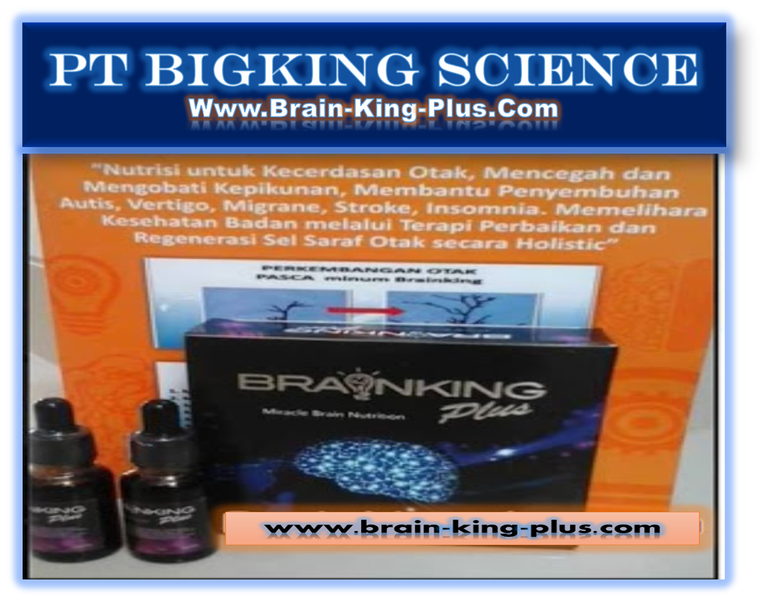 BRAINKING PLUS INDONESIA: Kantor Brainking Plus | Brainking Plus Indonesia | Manfaat Brainking