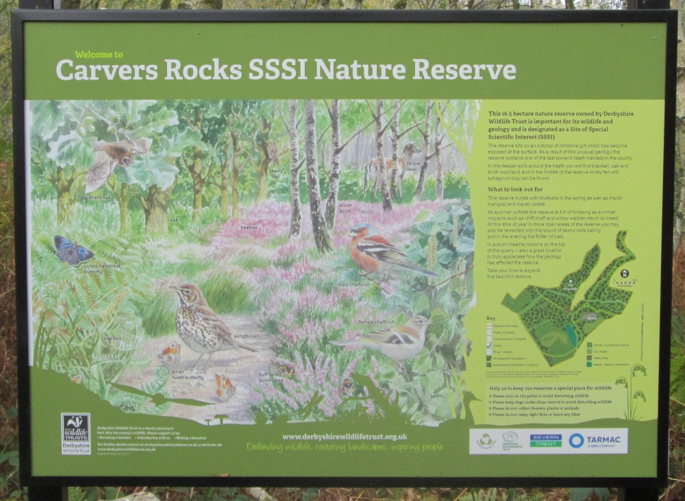 Vale of Belvoir Ramblers: Ticknall and Carvers Rocks, 22nd October 2017