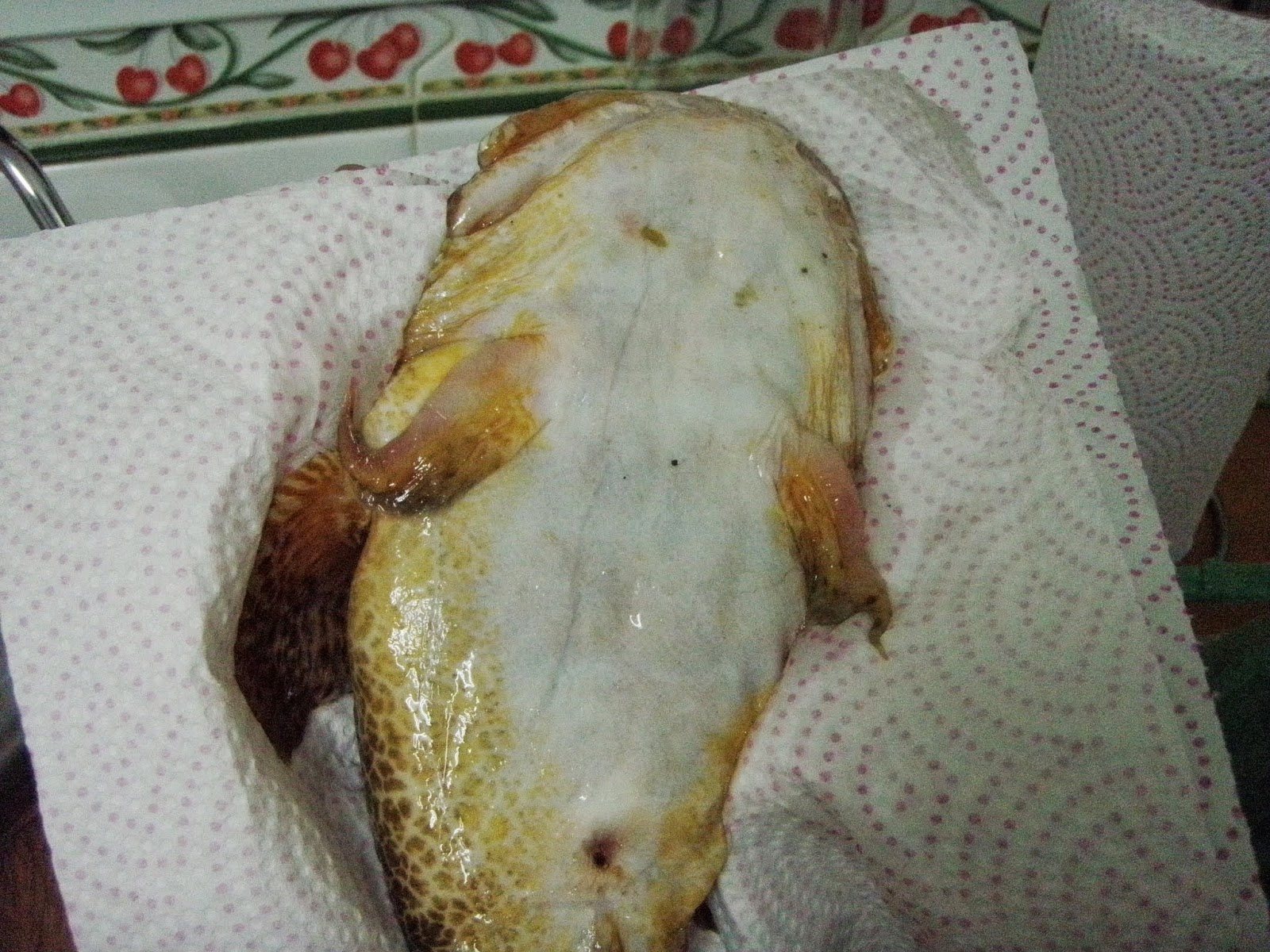 LA VIDA ES NAVEGAR.....: SAPO FRITO...