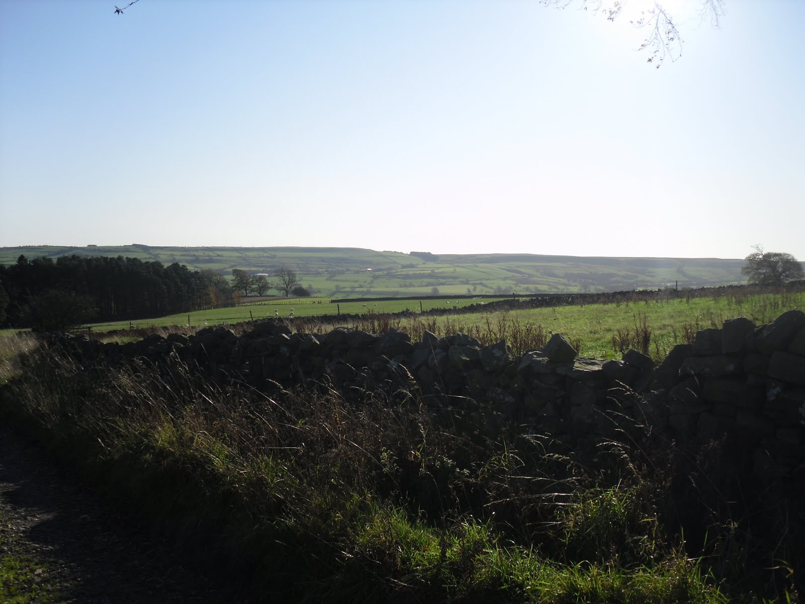 Rambling Nana: Wolsingham, Tunstall Reservoir Circular