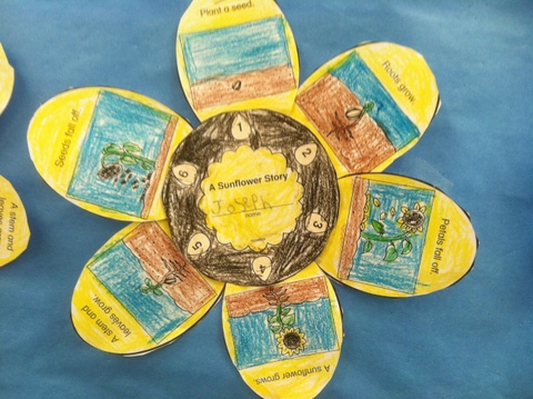 Sweet Kindergarten: How Does Your (Kinder) Garden Grow?