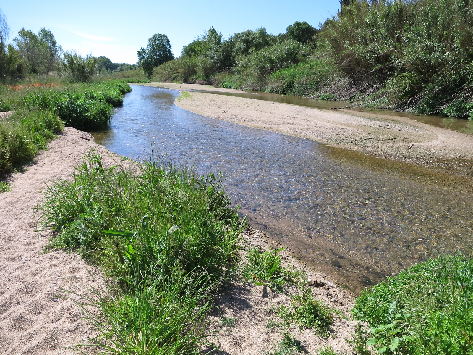La Natura a la Baixa Tordera: Riu Tordera al seu pas pel Torho (Tordera ...