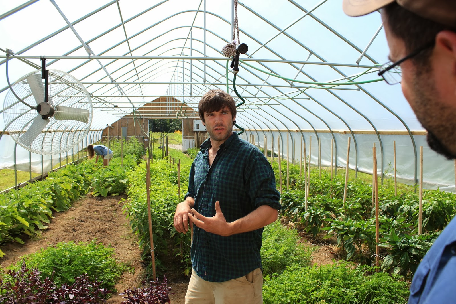 Farm 2 Fork: Revisiting Generation Farm