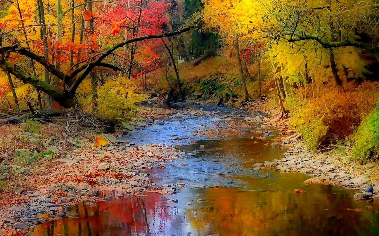 Culorile Toamnei ~ Imagini Desktop