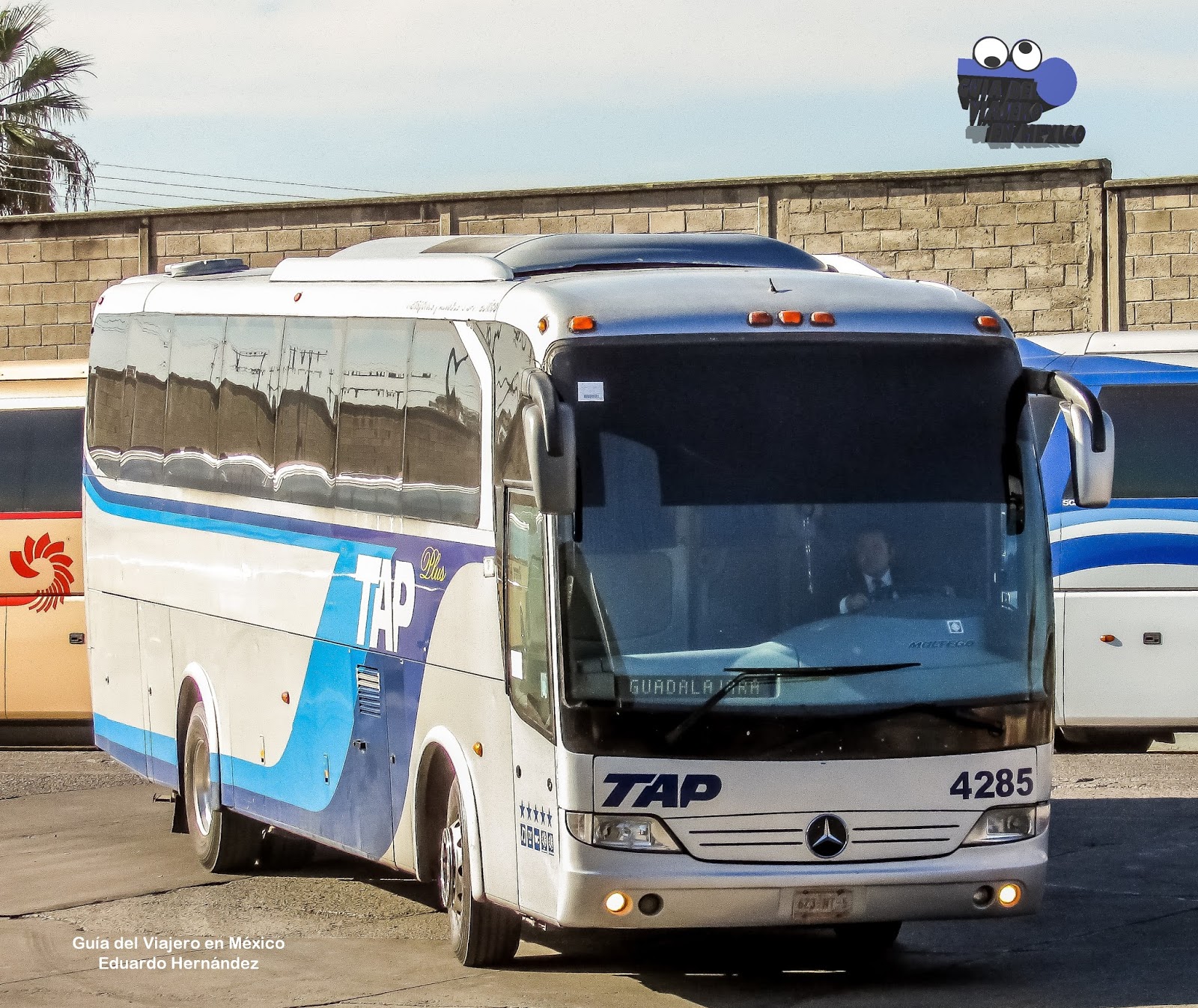 TAP Plus, cuando vivía en otra casa