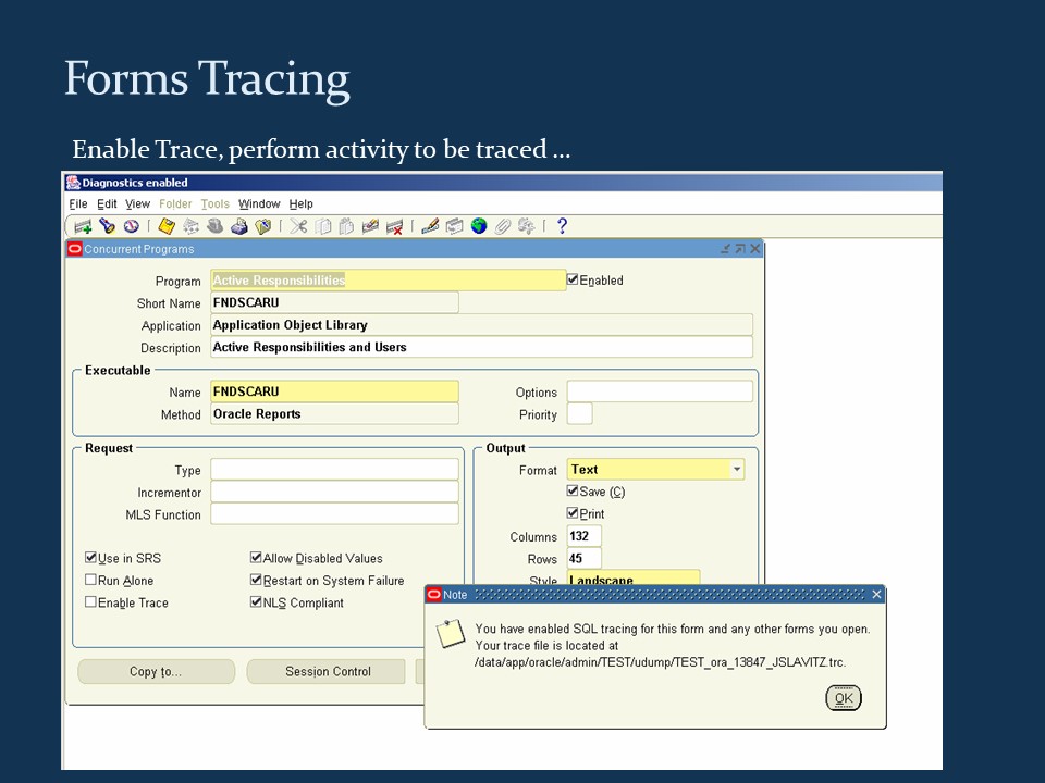 Erman Arslan's Oracle Blog: Oracle E-Business Suite (EBS)/ Apps