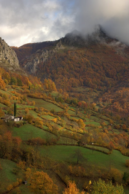 naturaleza en asturias: Para que no olvidemos Caliao