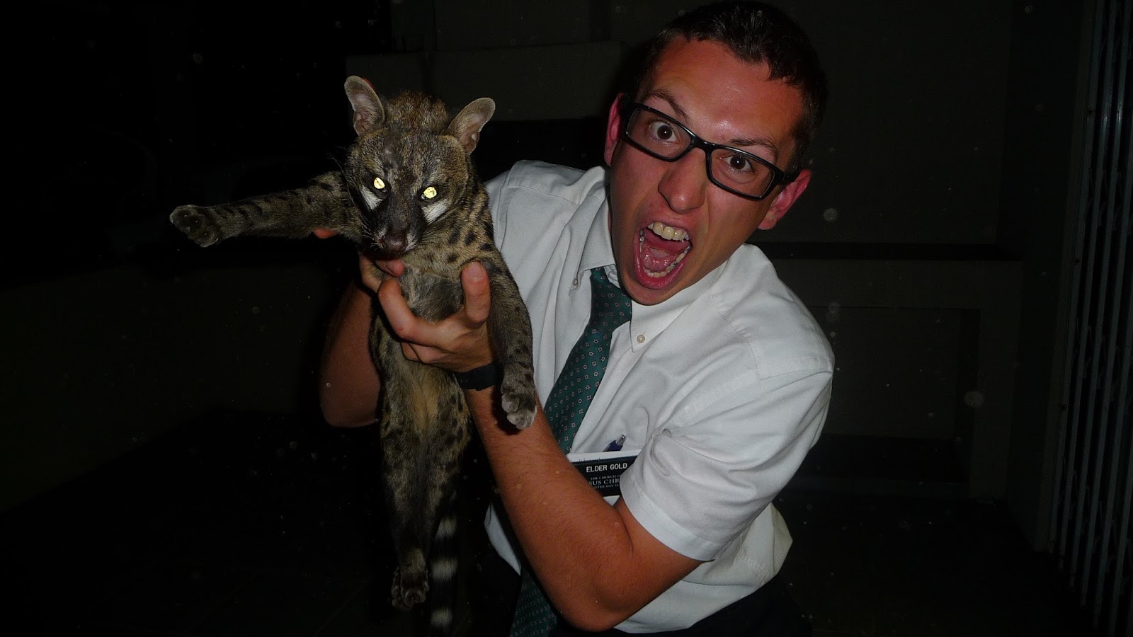 Errand of an Angel - Come Follow Me: Modern Medicine and Priesthood ...