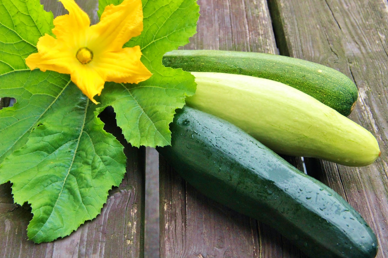 V kuchyni vždy otevřeno ...: Cuketa, její využití v kuchyni a recepty