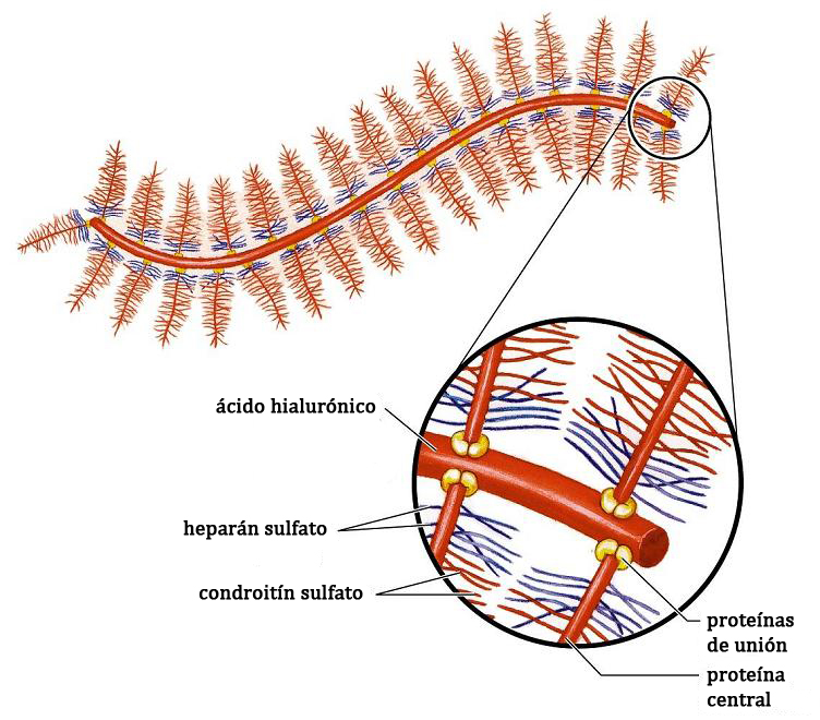 La Fila De Atrás: De priones y hombres (II)