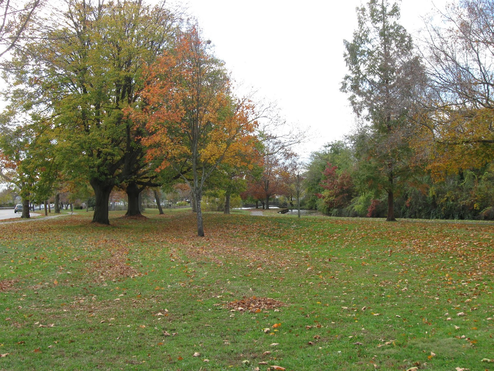 Tripping Over My Roots: 2018