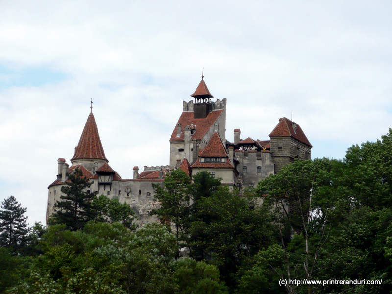 Printre rânduri: Dulce Românie, ce îmi faci tu mie! sau Top 10 autohton
