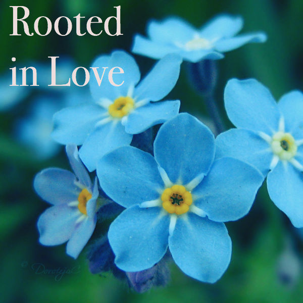 Snapshots 31 Days Rooted In Love Twenty six snapshots-31-days-rooted-in-love-twenty-six