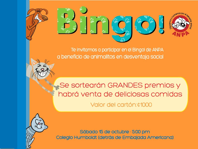 ZAGUATES Y MISINGOS: GRAN BINGO ANUAL DE ANPA