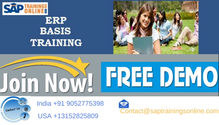 SAP BASIS Online Training: What is SAP BASIS | SAP BASIS Training and ...