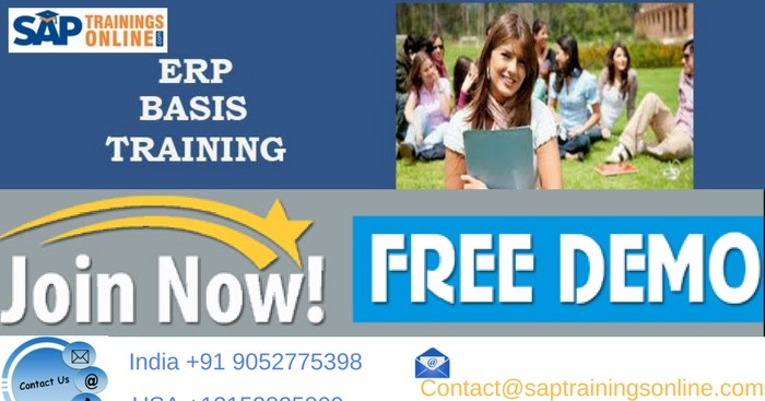 SAP BASIS Online Training: What is SAP BASIS | SAP BASIS Training and ...