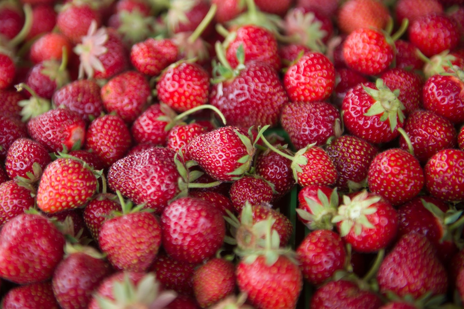 Experience Elgin: Easy Toblerone Mousse with Local Strawberries