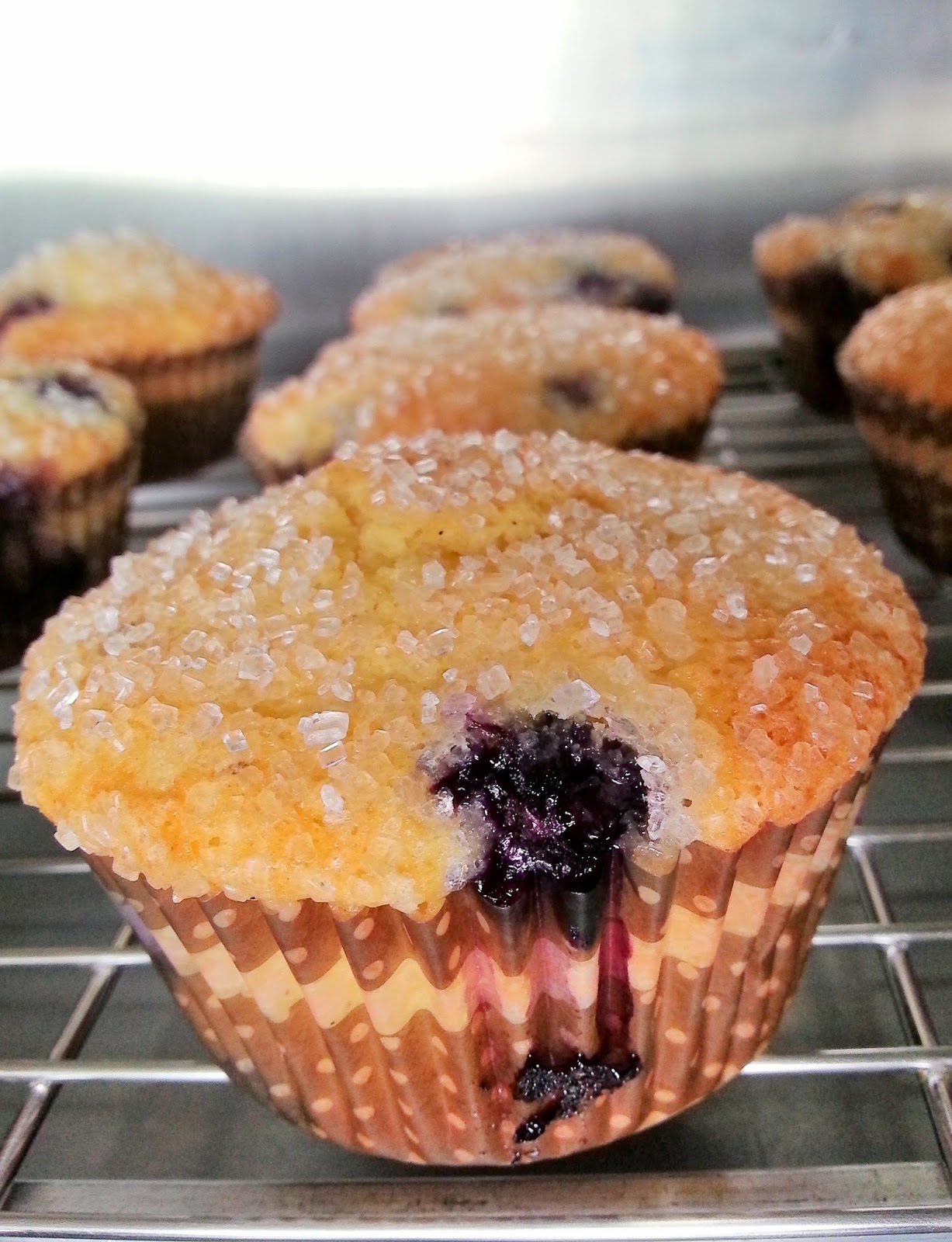In Cookie Haven: Blueberry Muffins