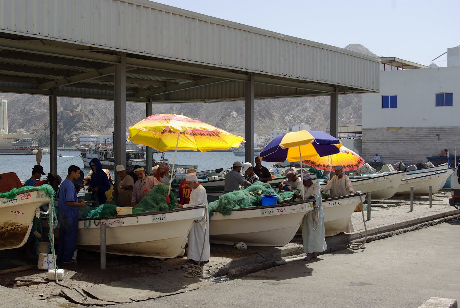 Oman expat: Mutrah Fish Market