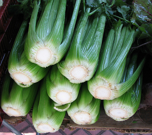 Las plantas y sus usos: Apio