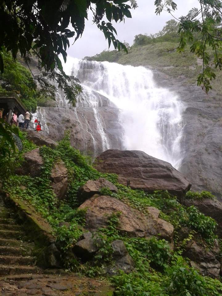 Photo Gallery of Palaruvi Waterfalls | Palaruvi | Palaruvi Falls ...