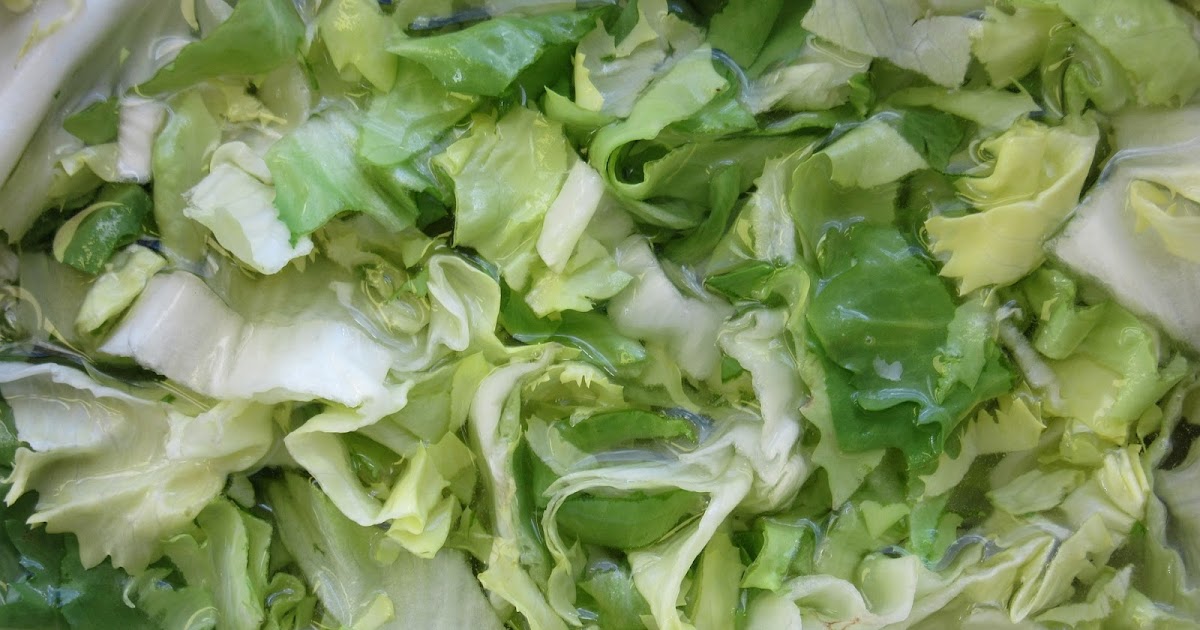 Las plantas y sus usos: Beneficios de la endibia para la salud