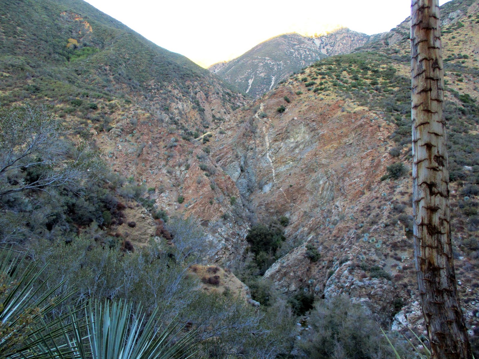 Iron Hiker: Devil Gulch (attempt) and Horseshoe Annex Mine