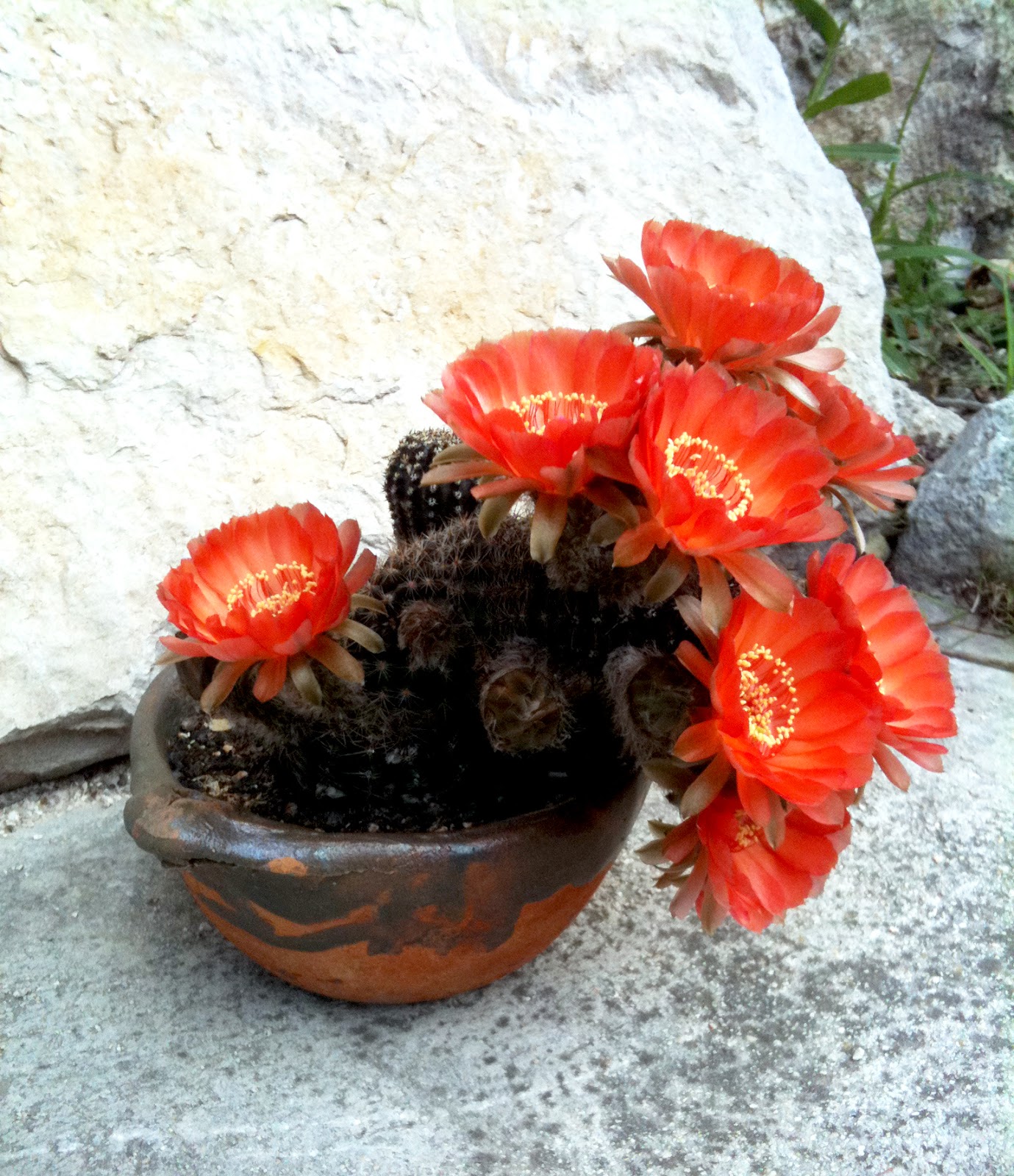 amadera, meuble et décoration, le charme éthique du Mexique authentique ...