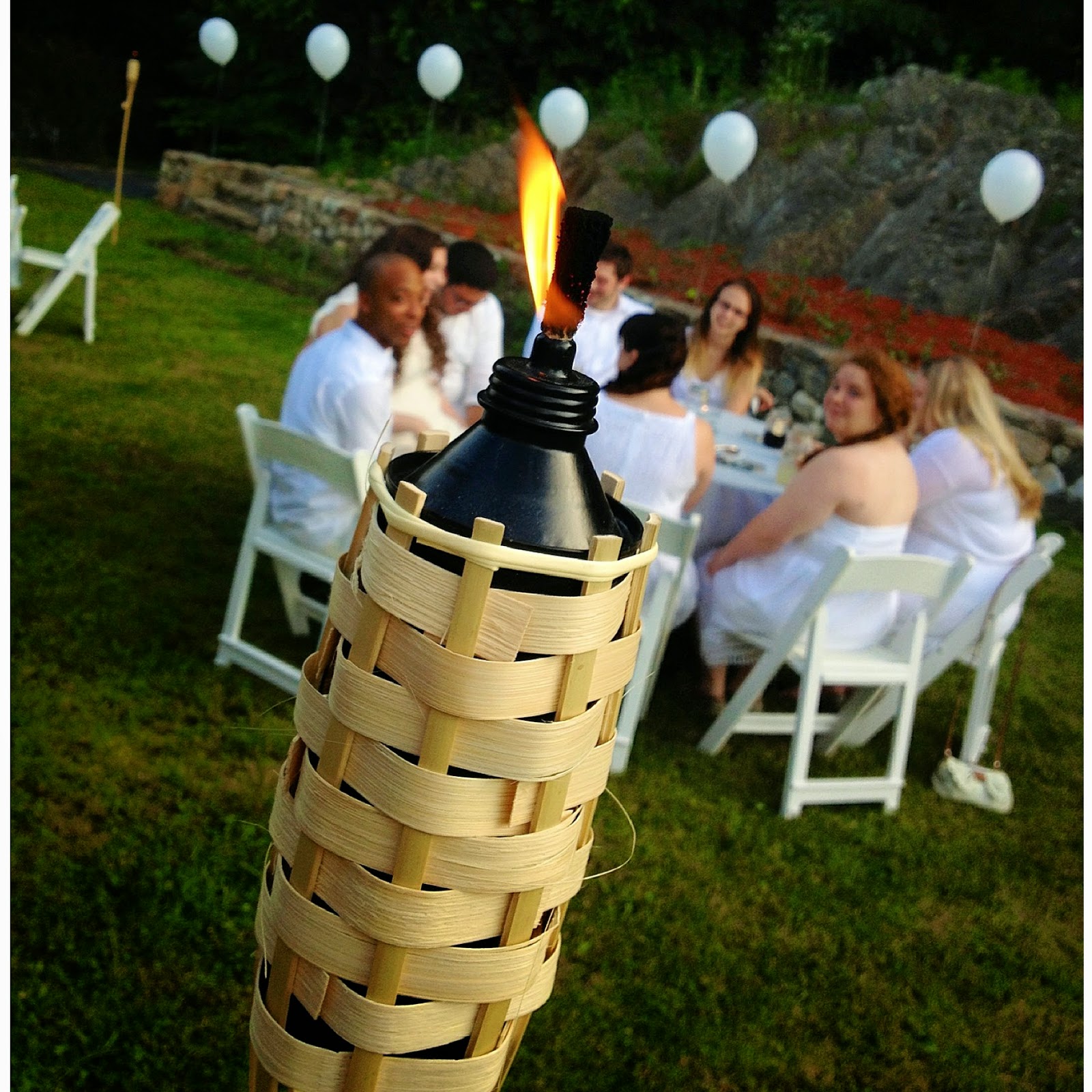 Summer Solstice Party! ~ Riya Party of One