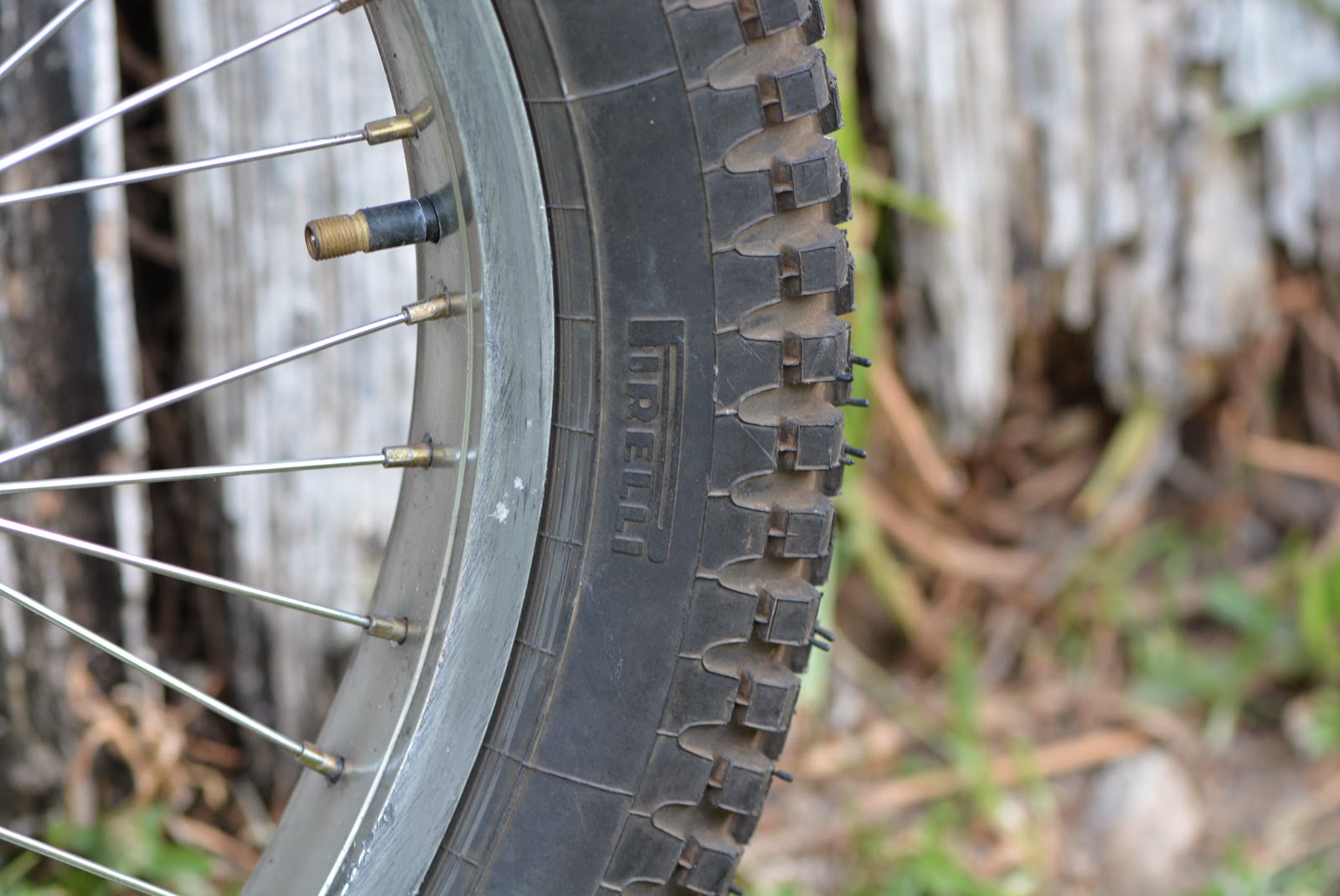 Second Spin Cycles: Yeti Tree Frog trials bike