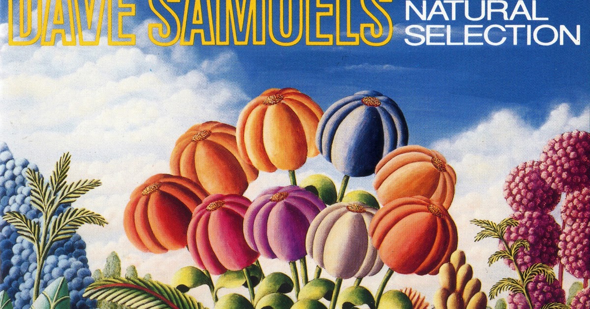 L'Ostia: Dave Samuels - Natural Selection