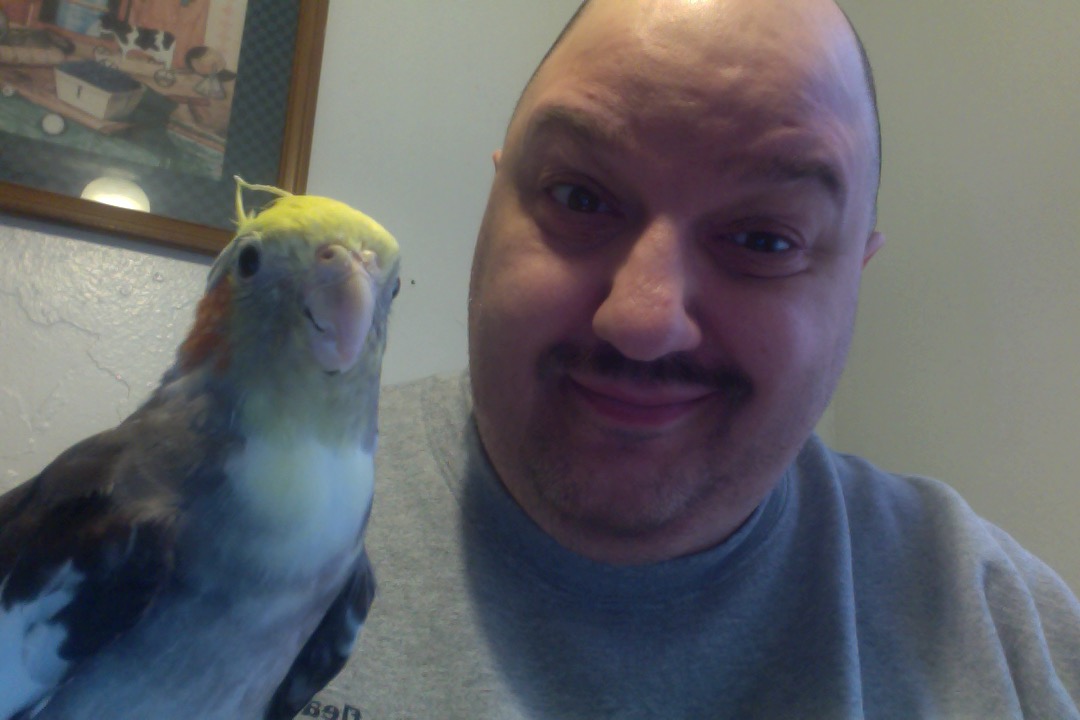 Al Bruno III's Internet Tomfoolery: And now a fat guy with a bird...
