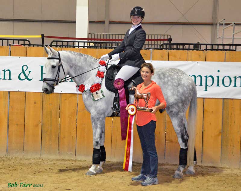 Janet Aungier, Dressage