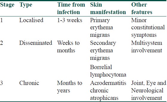 Lyme Disease (My Journey): Lyme and co-infections