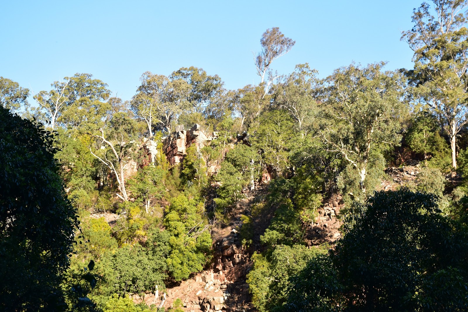 Goin' Feral One Day At A Time: Den of Nargun, Mitchell River National ...