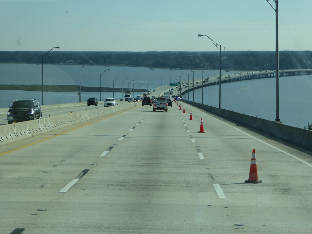 Road Runner: Melbourne Beach, Florida