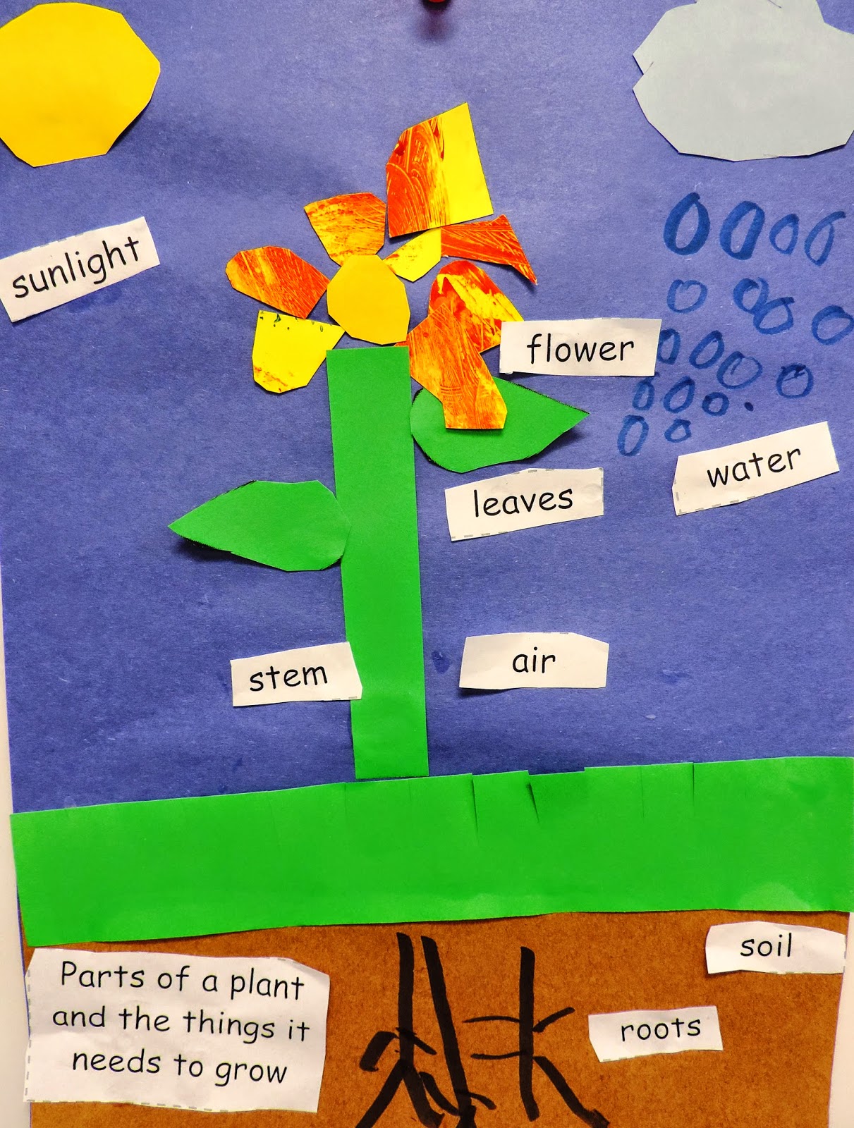 Teaching Minds Reaching Hearts: Five for Friday!